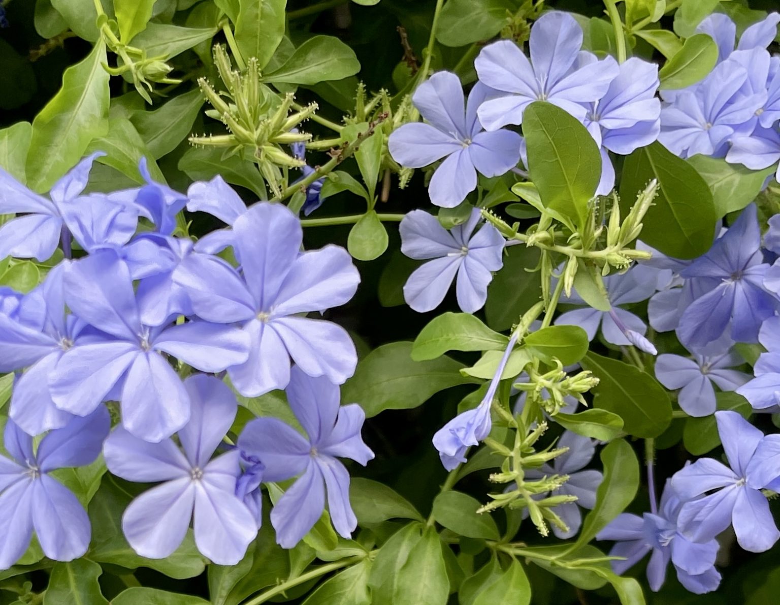 違和感を大切にする vol.6101 - ngoro-ngoro